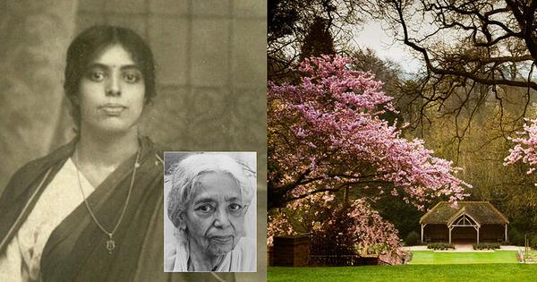 Remembering Dr Janaki Ammal, pioneering botanist, cytogeneticist and ...