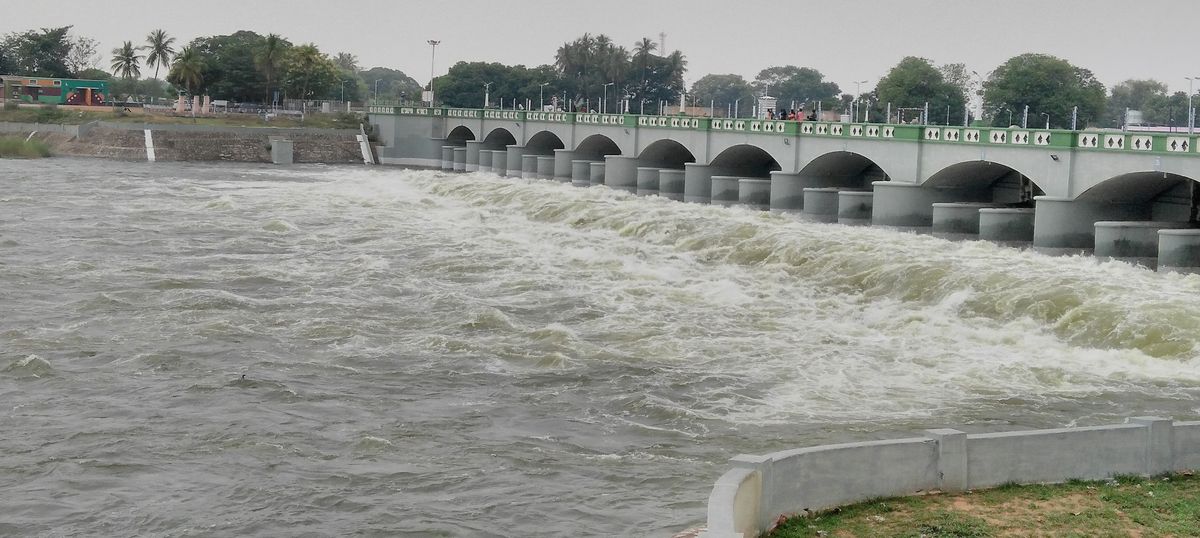 Cauvery delta districts in Tamil Nadu are facing a massive loss of ...