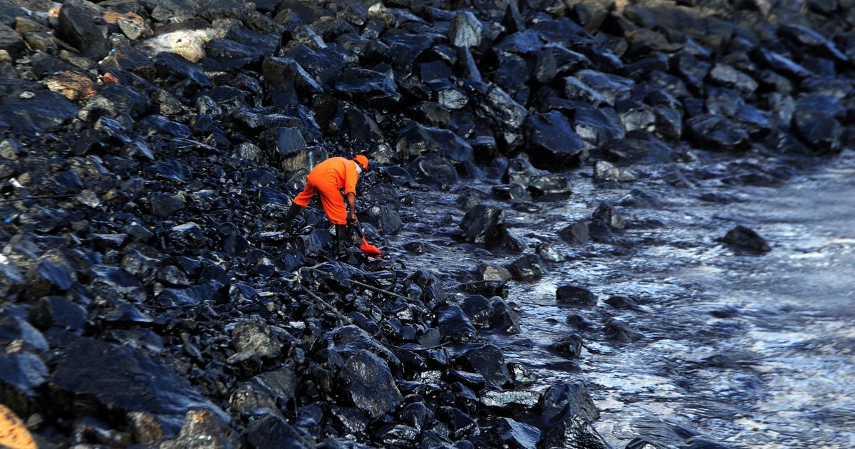 Chennai oil spill: As petroleum chokes the coast, no one wants to buy fish