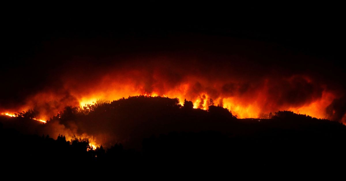 Portugal: At least 57 killed in forest fires, several others injured