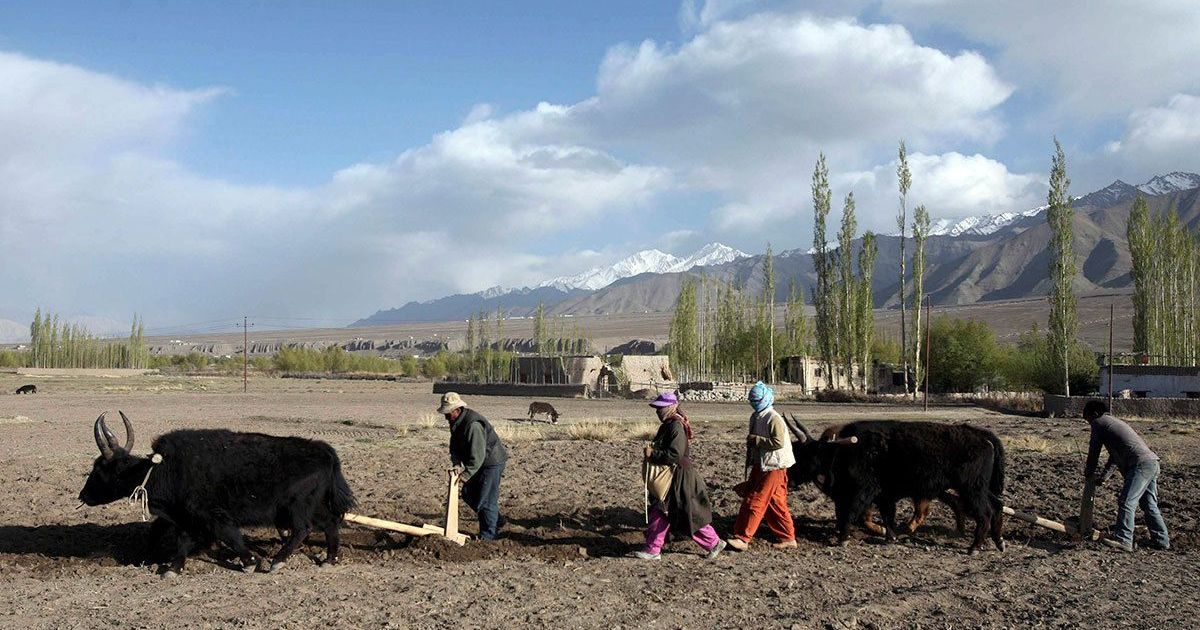 How innovative, low-cost technology is now helping Ladakh’s farmers ...