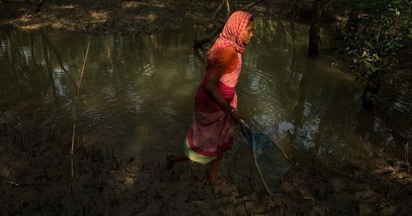 In pictures: Udvada, the small Parsi town that is quietly decaying