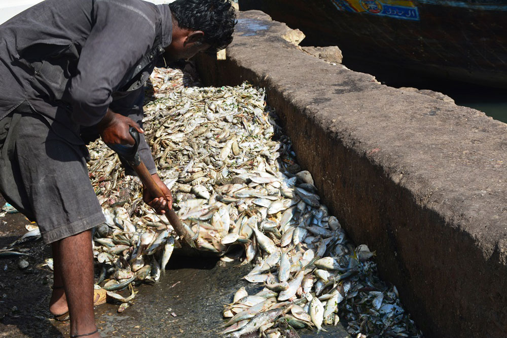 Karachi’s catastrophic pollution of the sea is killing fish and ...